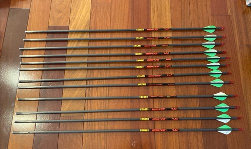 Gold Tip Hunter 340 Spine Hunter Arrows Pack Of 12 | eBay