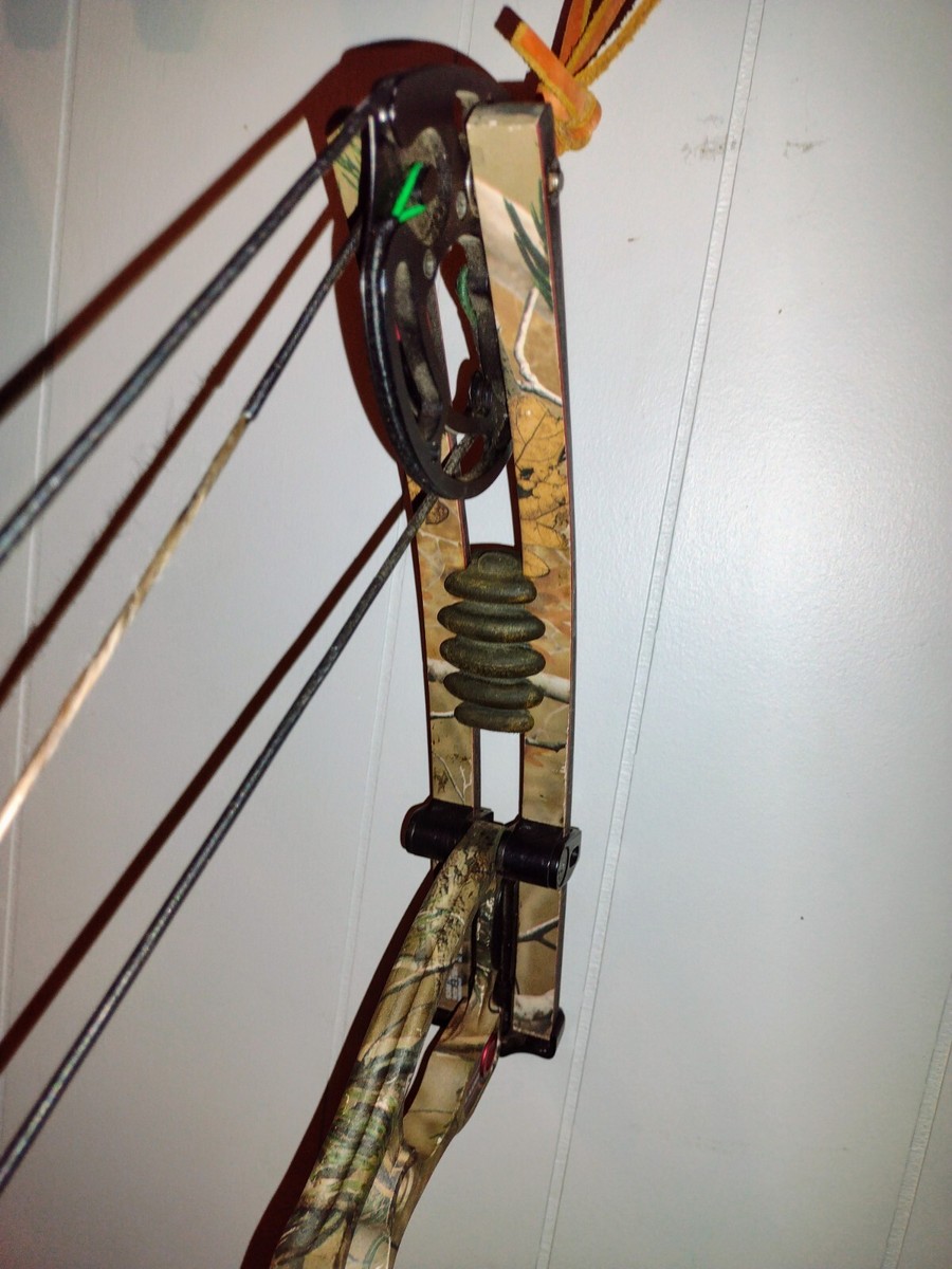 Precio De Vector De Hoyt 2023