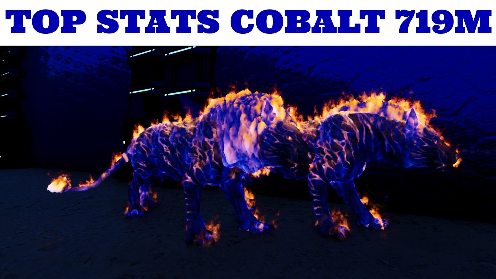ARK Survival Ascended PvE PC/XBOX/PS5 Top Stats Pyromane (lion) Cobalt ...