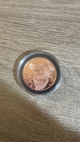 Drop Bear .999 Copper Coin | eBay