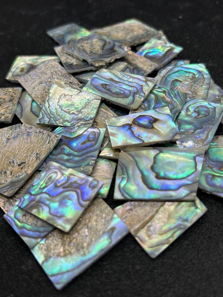 Green Paua Abalone Shell Blanks (1.55mm) for Guitar Inlay - Various ...