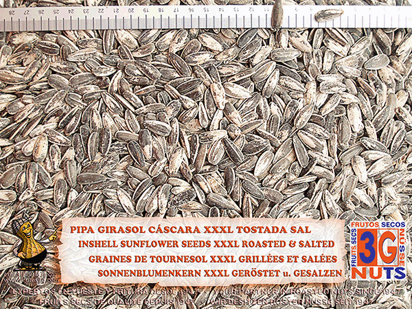 Spanish Pipas GIANT Sunflower Seeds XXL Roasted and Salted 400g from ...