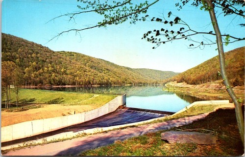 Postcard Lyman Run Dam Galeton Germania Pennsylvania D191 | eBay
