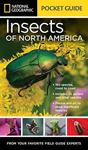 National Geographic Pocket Guide to Insects of North America by Evans ...