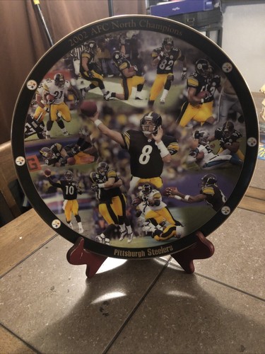 NICE Danbury Mint PITTSBURGH STEELERS 2002 AFC North Champions 12 ...