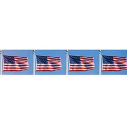 WAVING AMERICAN FLAGS Scene Setter BORDER ROLL patriotic party 50 feet ...