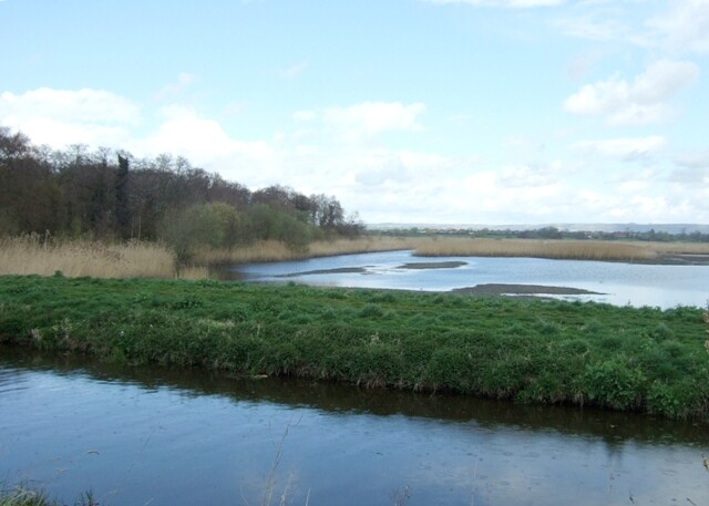 Photo 6x4 Meare Heath wood Ashcott Corner Looking across the rhyne ...