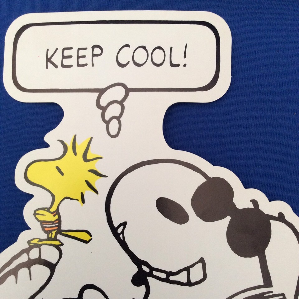 Snoopy Keep Cool Card Peanuts Schulz Snoopy Woodstock Swimming Vintage ...