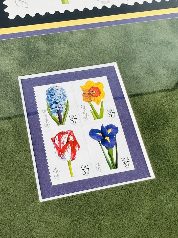 Custom Framed/Matted 2005 USPS “Spring Flowers” First Day Of Issue ...