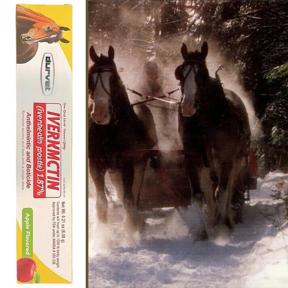 5PCS Paste Horse Dewormer - Apple Flavor Exp 3/2027 Anthelmintic ...