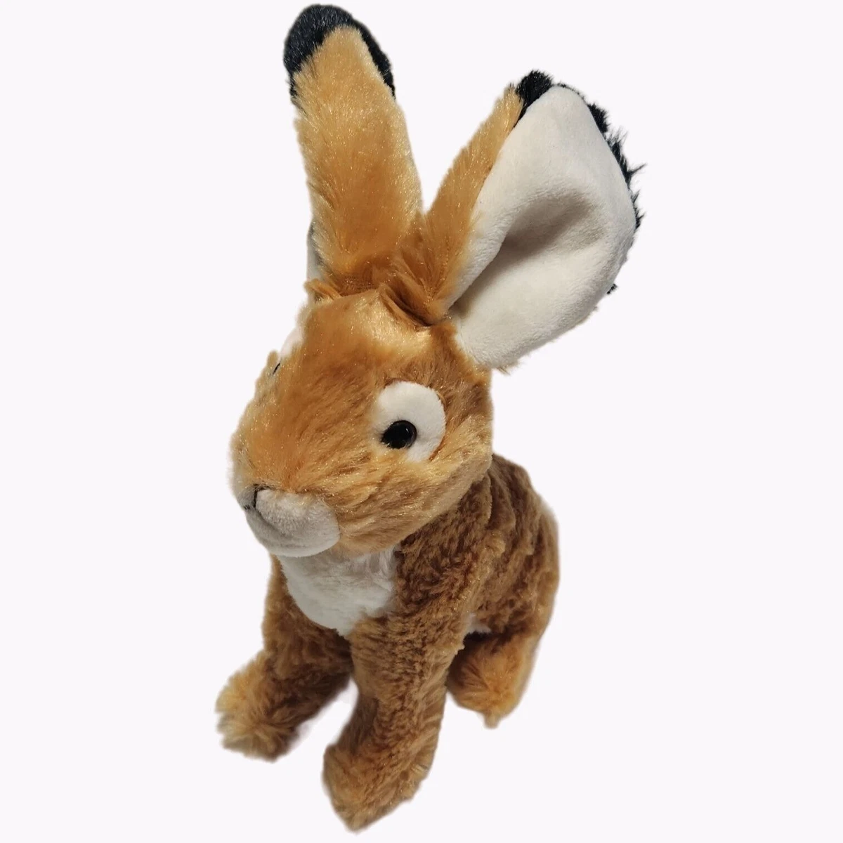 Jack Rabbit Size