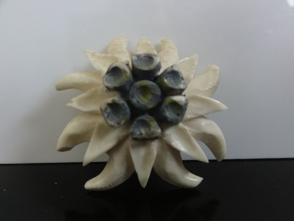 VTG FINELY HAND CRAFTED BOVINE BONE BROOCH EDELWEISS FLOWER | eBay