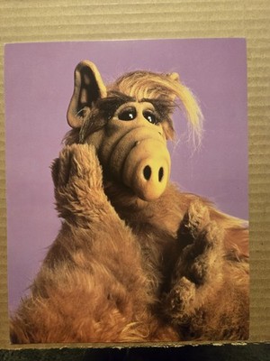 Official Alf Fan Club 8 X 10 Photo RARE Alien Life Form 1988 | eBay