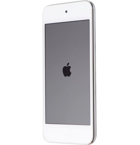 Apple iPod Touch 7th Gen 256GB (Wi-Fi) A2178 Silver - Good Condition | eBay