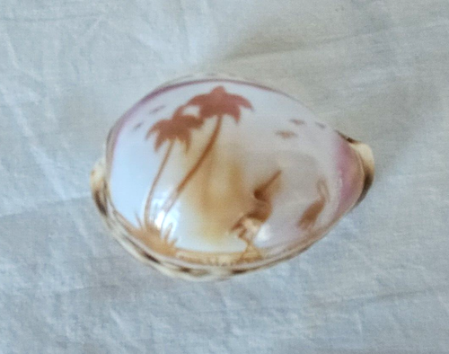 Carved Cowrie Seashell with Carved Herons Cranes on The Beach | eBay