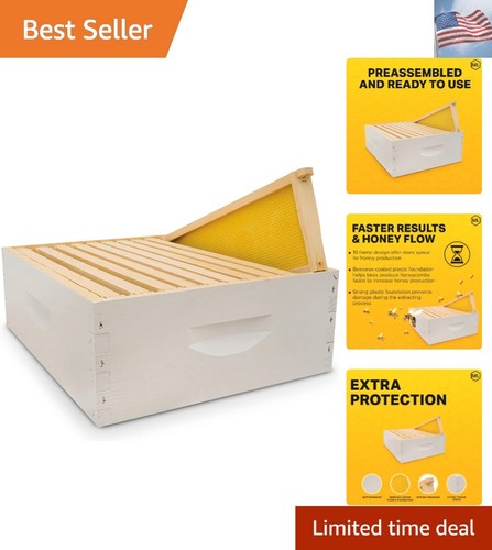 Hive Body Bundle, Assembled, 10-Frame, Painted, Beekeeping, Bee Box, Beekeepi... | eBay