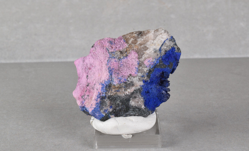 Azurite with Pink Cobaltoan Dolomite on Stone Matrix from Congo 4.7 cm ...