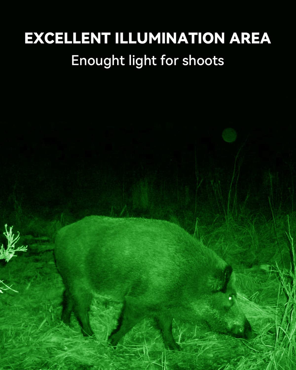 Feeder Lights Hog Hunting Hog Hunting Lights Solar Green Light For