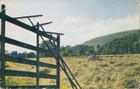 Hawick haymaking | eBay