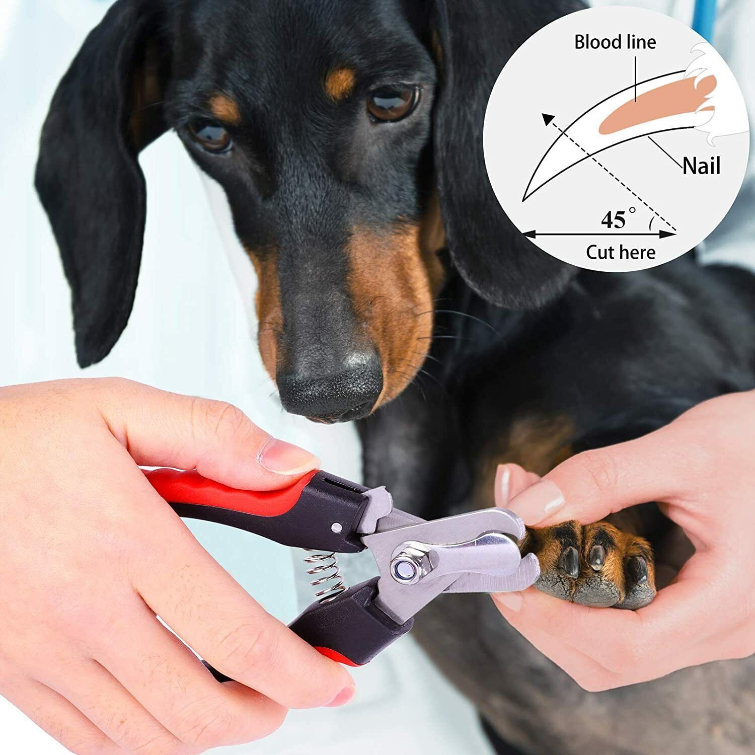 Pet Nail Clippers Cat Dog Rabbit Sheep Animal Claw Trimmer Grooming ...