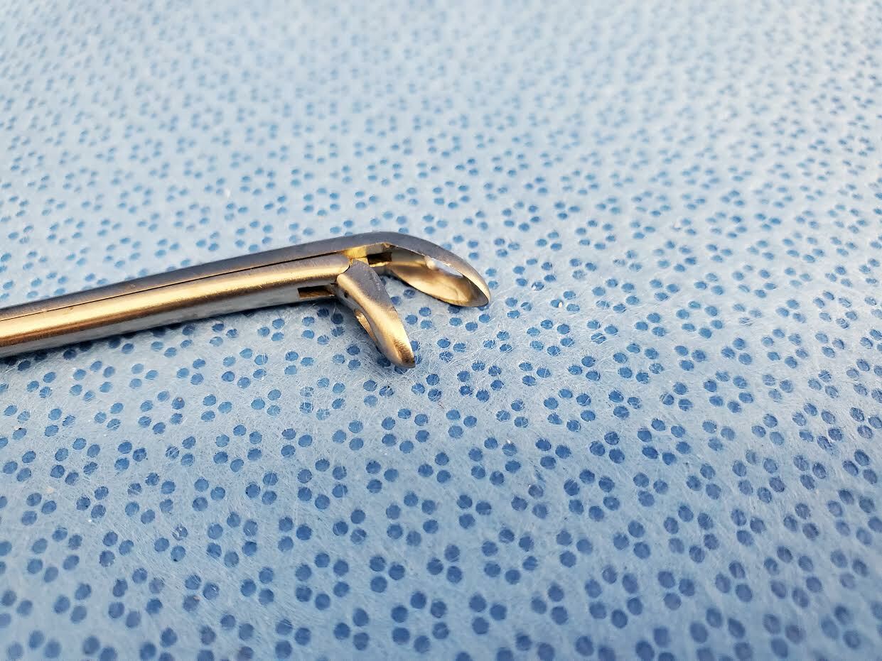 Jarit 280-454 Surgical 5mm x 10mm Fenestrated Cup Jaw Wilde Rongeur ...