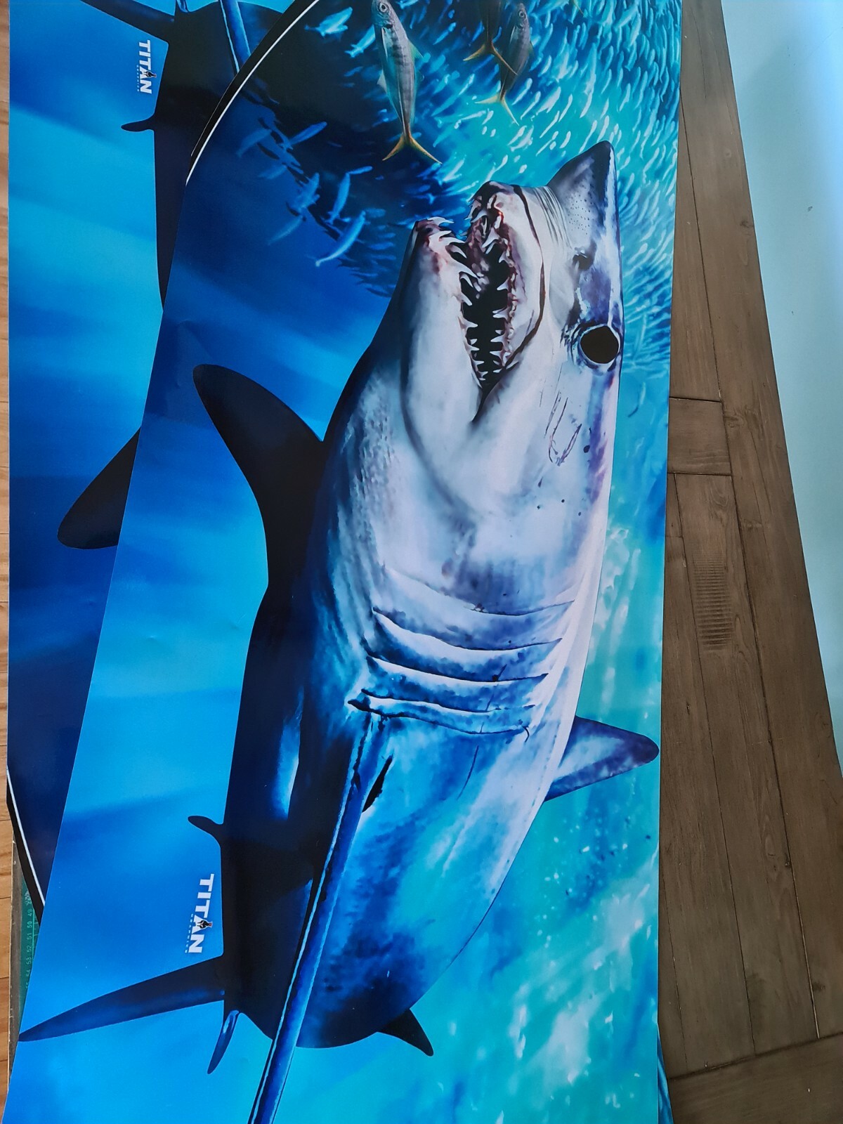 Boat Wrap - Mako Shark - Half Wrap 660mm x 2000mm | eBay