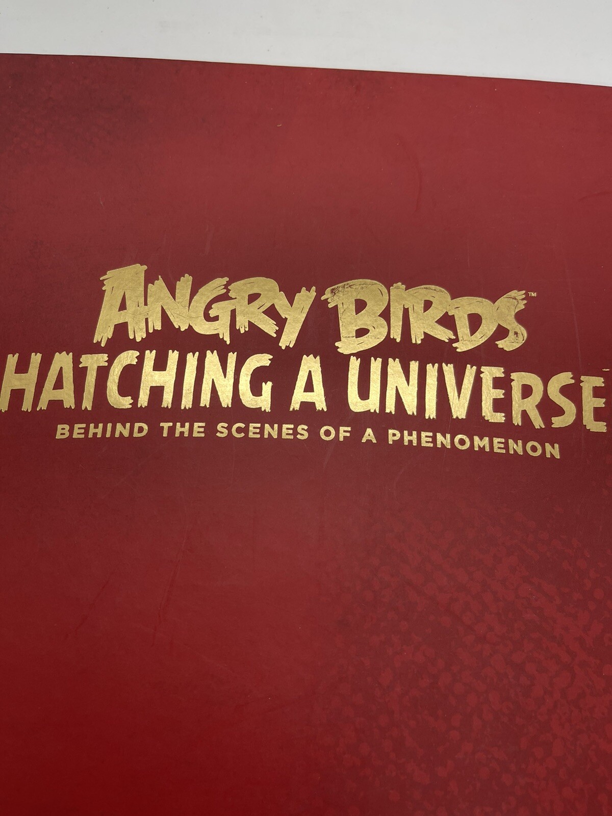 Angry Birds: Hatching a Universe by Danny Graydon Hardcover Book kids ...