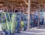 120706 Crown Forklift Motor Power Steering 36-48 V DC for sale online ...