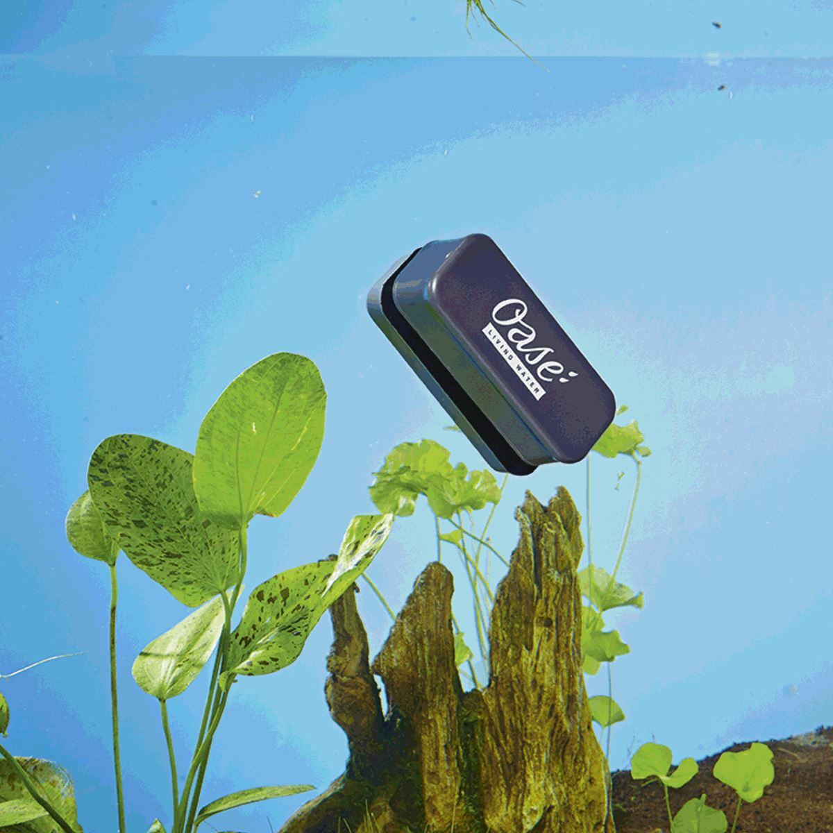 OASE INDOOR MAGNETIC AQUARIUM GLASS CLEANER ALGAE BRUSH SCRAPER CLEAN ...