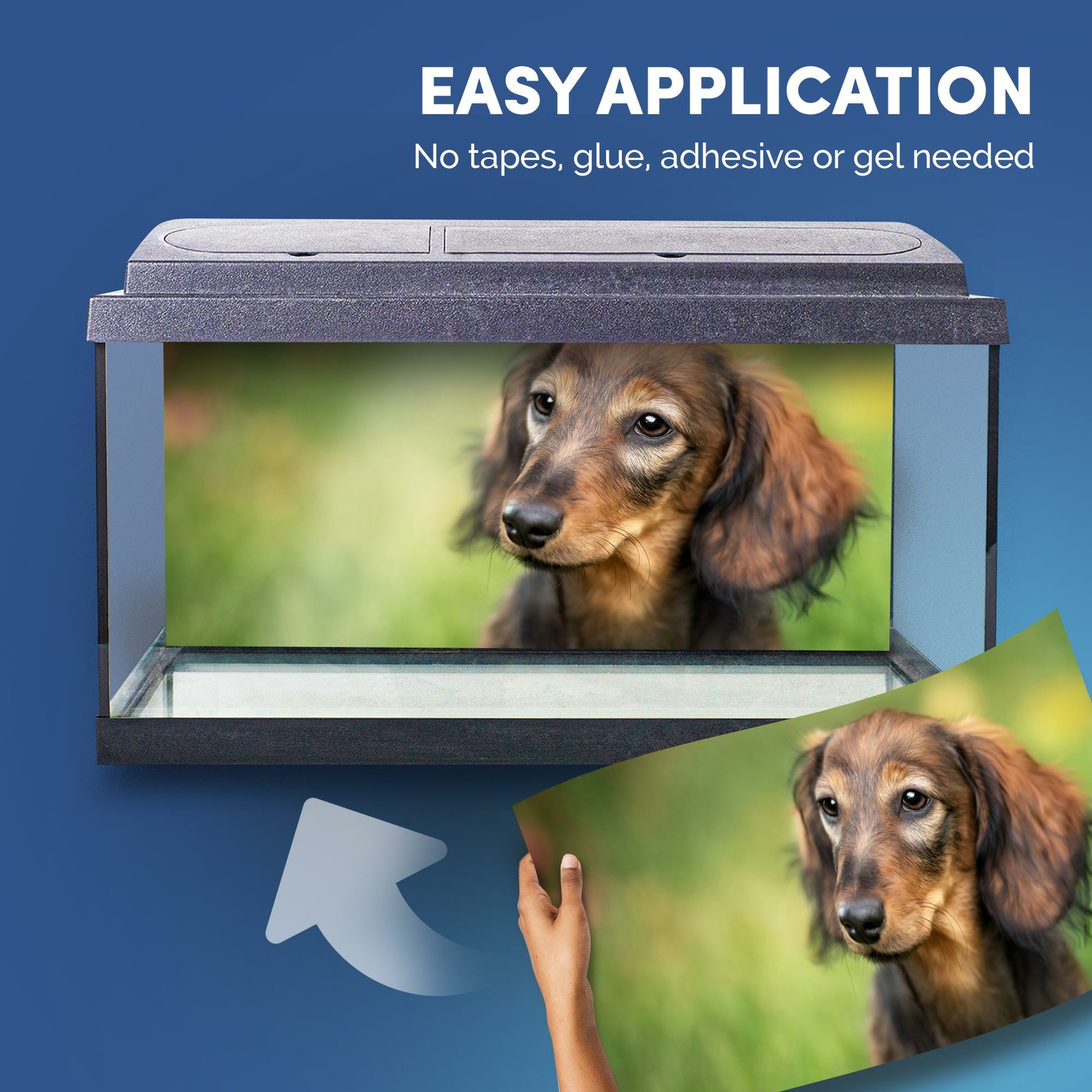 Fish Tank Background 90x45cm - Cute Dachshund Puppy Face #13268 | eBay