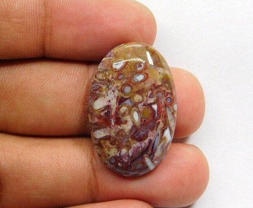Magnifique Naturel Palmier Racine Cabochon Agate Desseré Gemme Bijoux ...