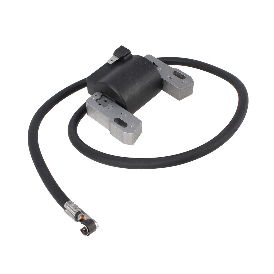 398811 Ignition Coil for Briggs & Stratton 250400 252417 253412 253417 ...