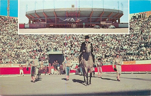 Chrome Mexico Postcard M246 Bull Ring Juarez Toreador on Horseback ...
