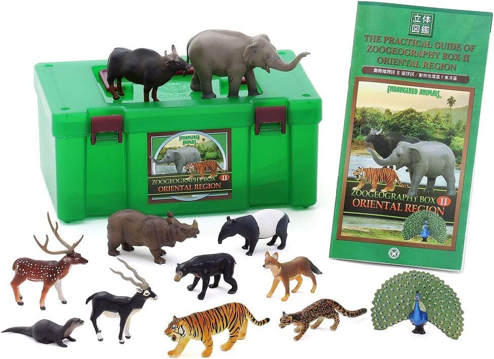 Colorata Endangered Animals Zoogeography Box Oriental Region Real ...