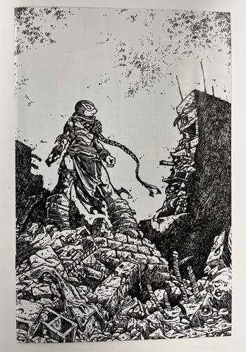 Teenage Mutant Ninja Turtles #142 1:50 Retailer Incentive 2023 Variant ...