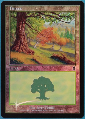 Forest (349) FOIL Odyssey PLD Basic Land MAGIC MTG CARD (ID# 408558 ...