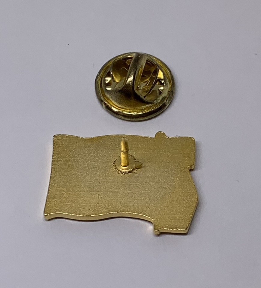 DAV Disabled American Veterans Life Member Flag Lapel Pin (P15-2) | eBay