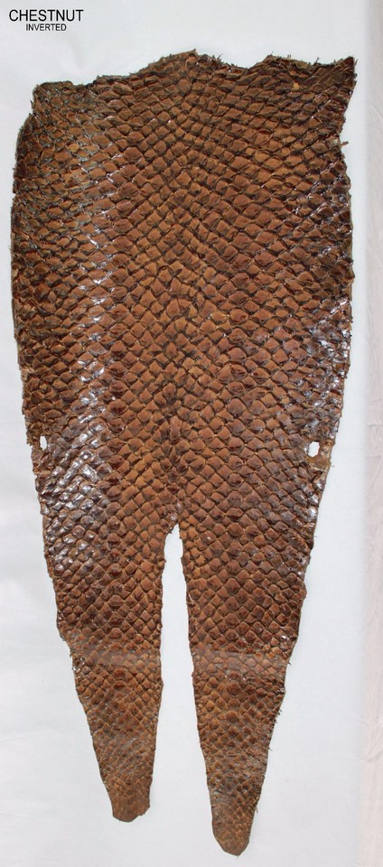 Pirarucu skin, Arapaima skin (INVERTED SCALES) 12 colors available see ...