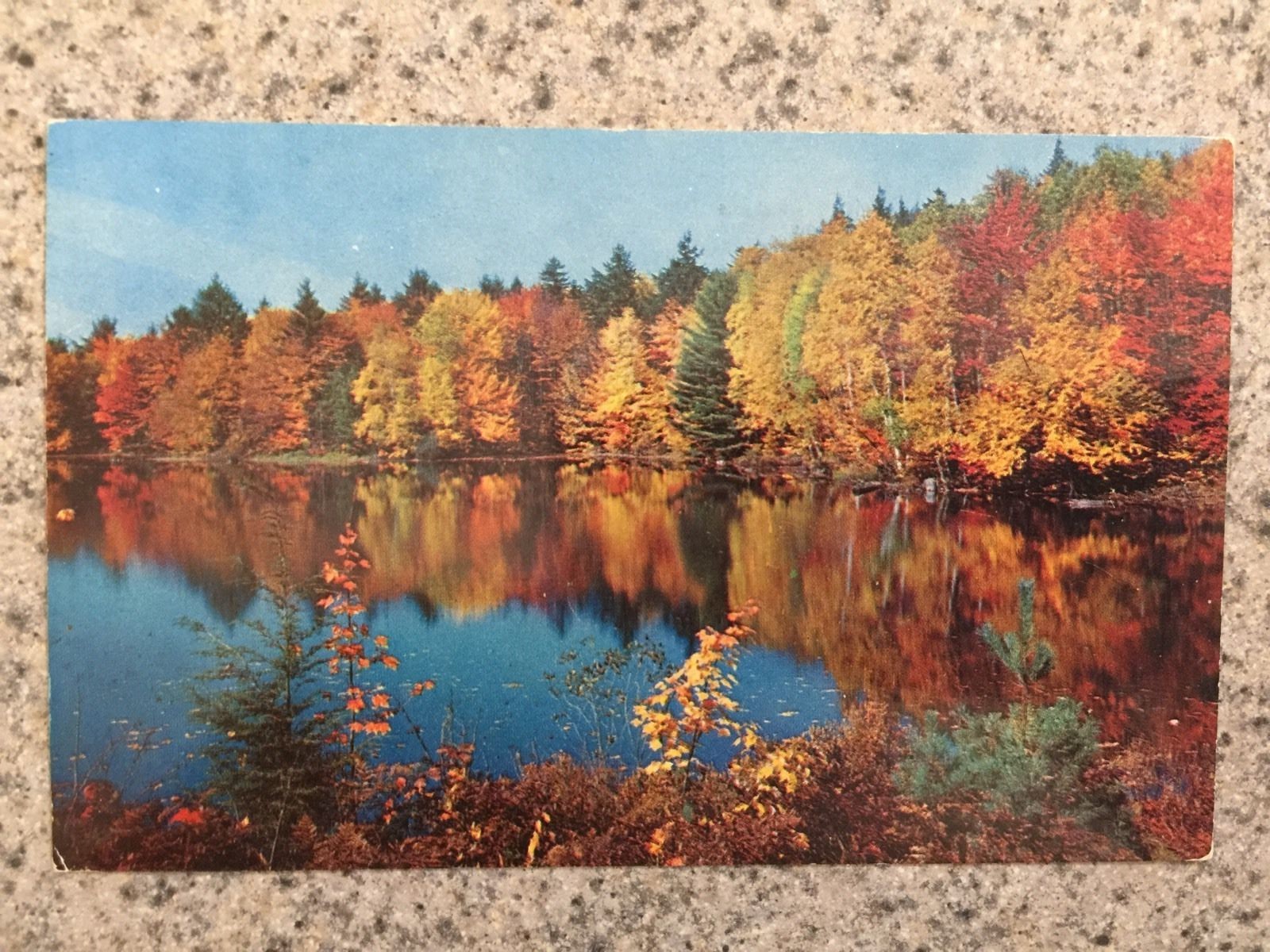 POSTCARD UNUSED MASSACHUSETTS- GREETINGS FROM "THE BERKSHIRES" IN ...