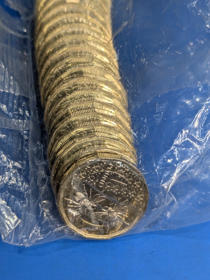 New £1 Pound BEES Coin King Charles 2023 UNCIRCULATED from sealed bag ...