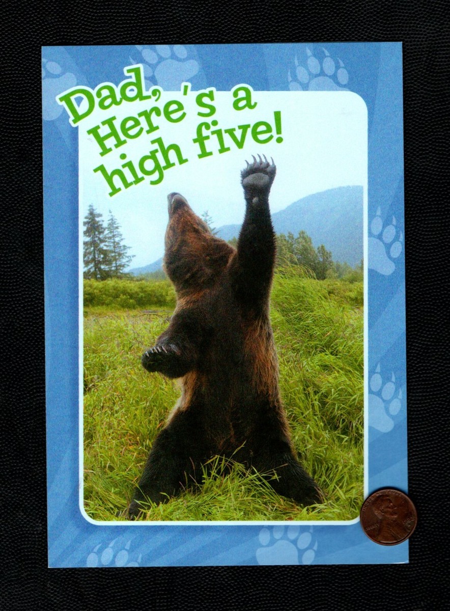 Bear High Five
