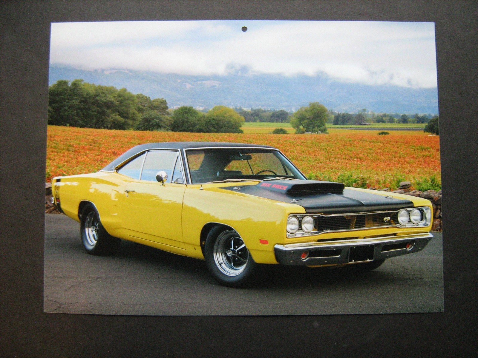 1969 Dodge Coronet SUPER BEE color photo pg from NOS calendar--69 Mopar ...