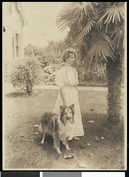 Lady Bellhaven and the smartest Scotch Collie in Alhambra Californ ...