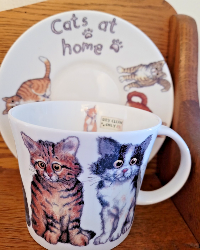 Roy Kirkham Animal Fashions Cats at Home-Cup & Saucer Set Bone China ...