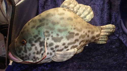 STUFFED BASS? FISH ~ 13”x7” ~ GREAT CONDITION ~ | eBay