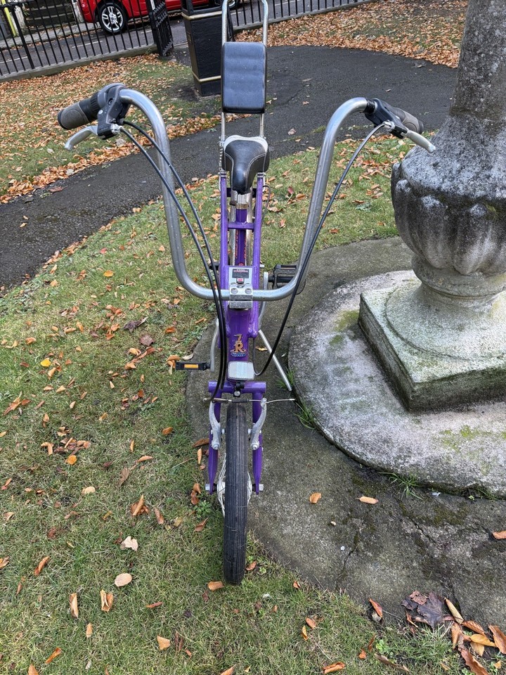 Raleigh Chopper Mk3 – Retro Purple (2004) | eBay UK