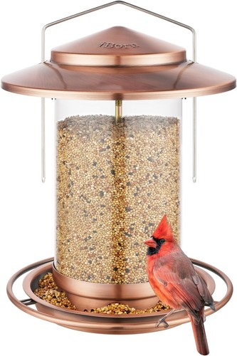 Metal Bird Feeder for outside Hanging,Wild Bird Feeders for Cardinal ...