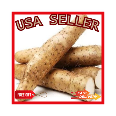 Nagaimo Japanese Whole Fresh Actual Root Yams USA SELLER Gift w ...