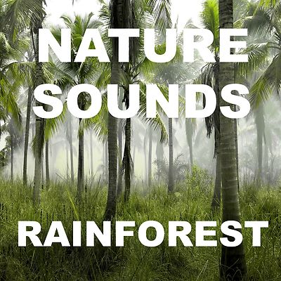 Nature Sounds CD – Rainforest & Jungle Audio Experience | Ambient ...