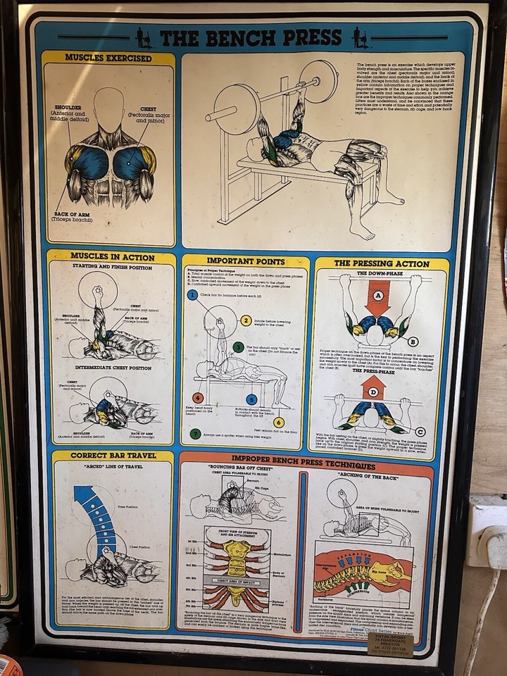 6 X BARBELL GYM WORKOUT EXERCISE POSTERS IN FRAMES | eBay UK